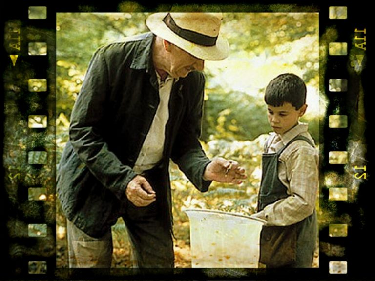 Ampuloso | Revista Literaria Española